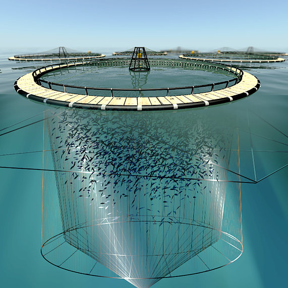Nordic Innovators secured Seafarm Development a EU grant